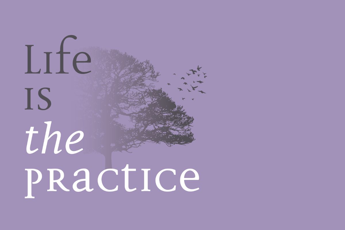 Meditation Podcast | Life Is The Practice Podcast